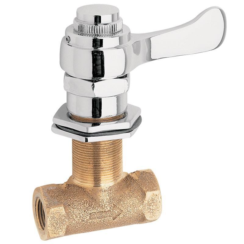 5851LF | Faucet Valve | Haws Co